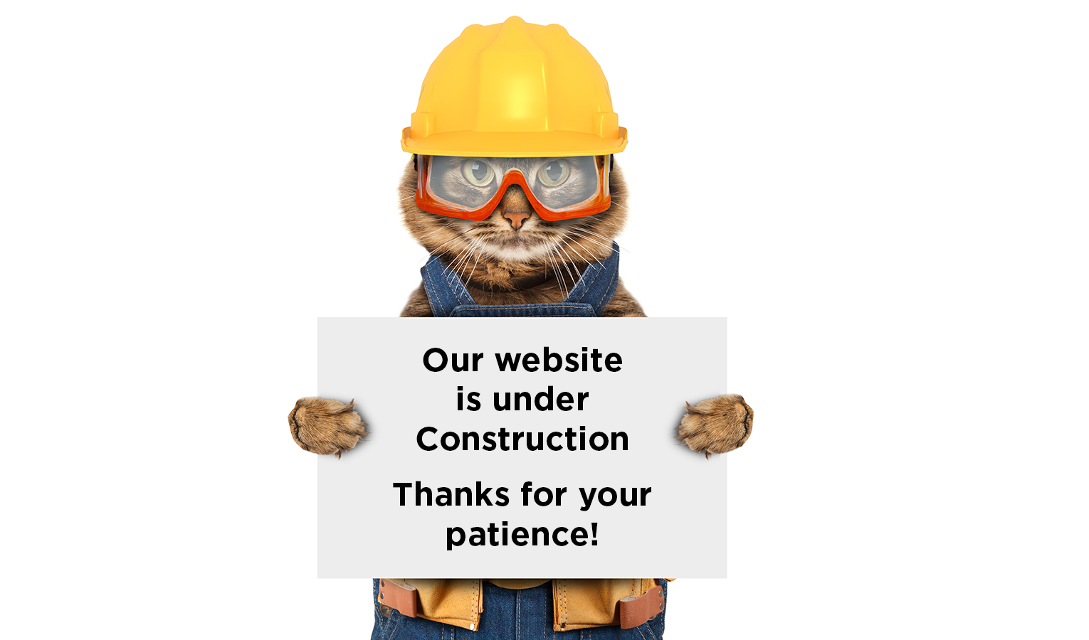 under construction – Village Pet Food and Supply